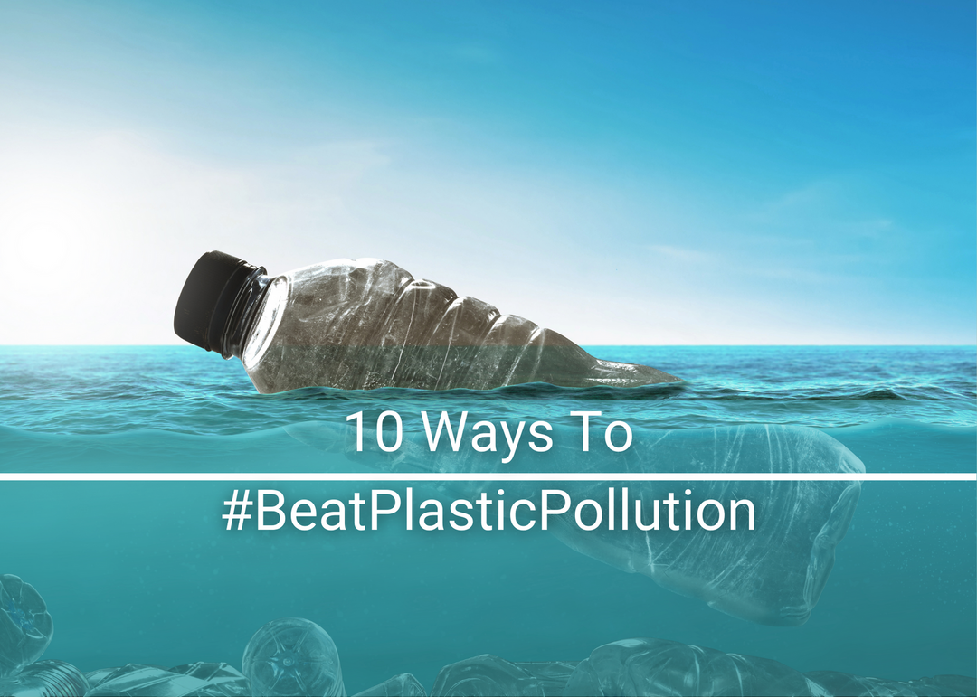 10 ways to #BeatPlasticPollution and Embrace World Environment Day 202 ...