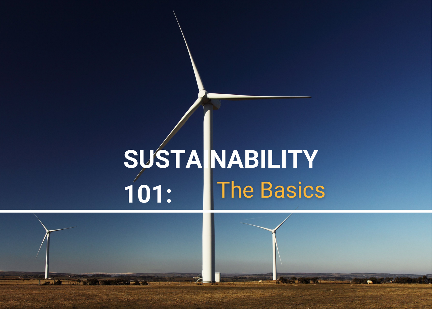 SUSTAINABILITY 101: The Basics – SimplyGood
